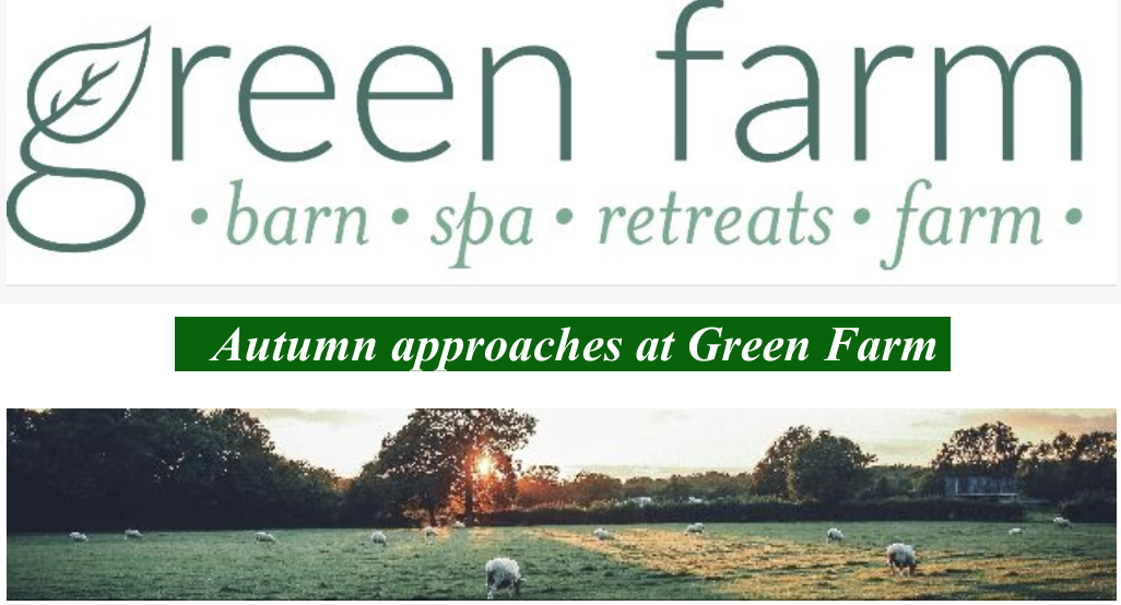 Workshop - Alex Hanly